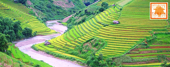 Où & Quand visiter les rizières en terrasses au Nord Vietnam